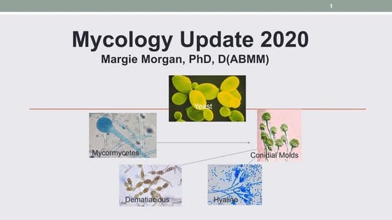 Microscopic Examination of fungi notes for microbiology students.pptx