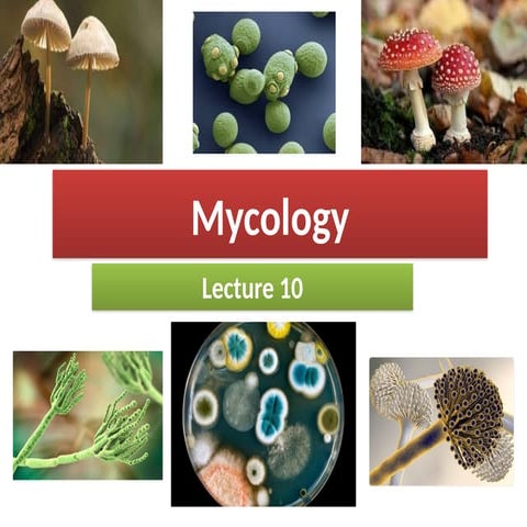 ELECTROGMANETISM SCIENCE GRADE FIVE REGULAR | PPTX