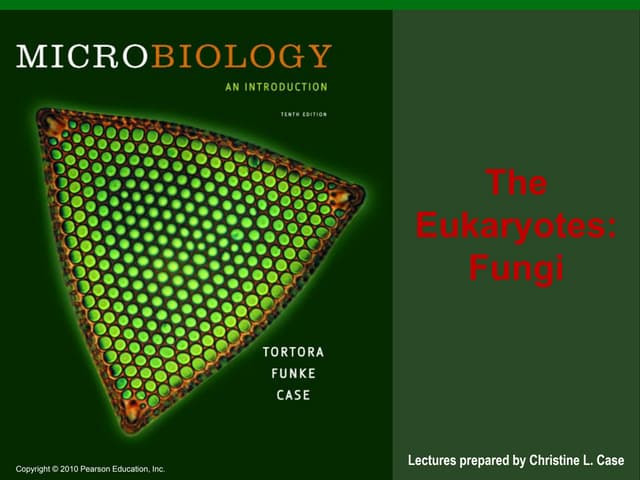 10- Fungi and Their Pathogenesis. ppt | PPT