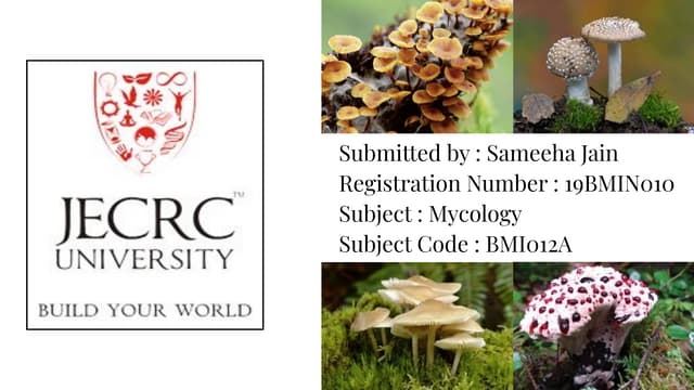 Allomyces classification,Introduction,Life Cycle.pdf
