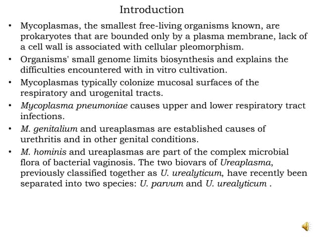 18. mycoplasma | PPTX