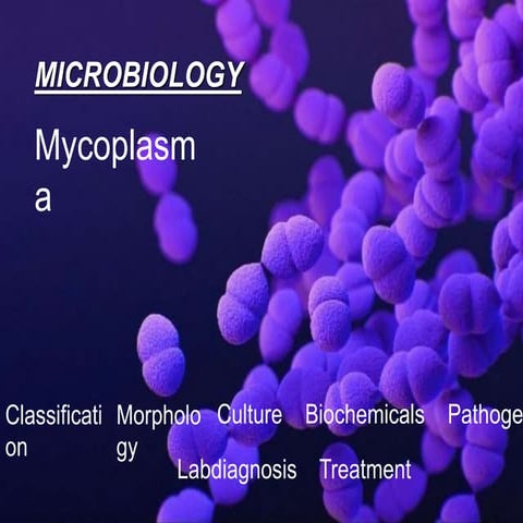 Mycoplasma.pptx bacteriology microbiology | PPT