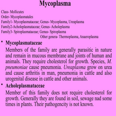 Mycoplasma | PPT