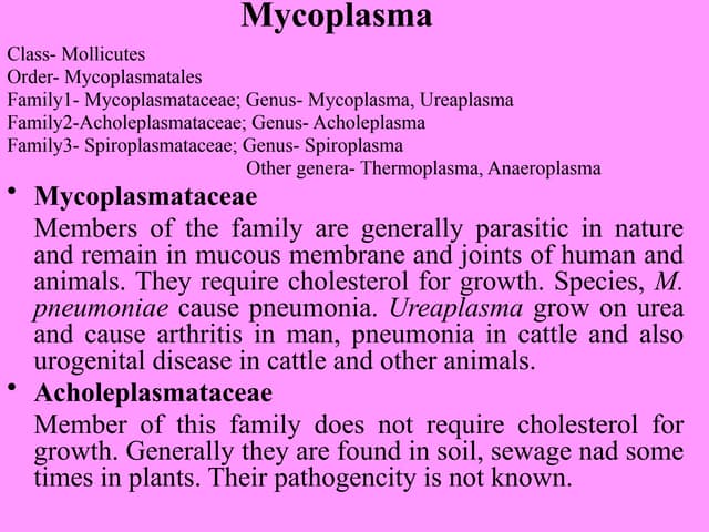 Mycoplasma | PPT