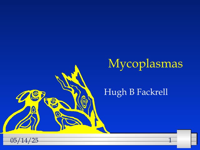 Mycoplasma | PPT