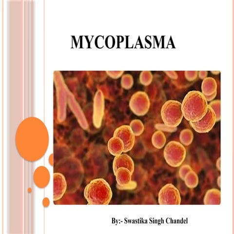 Mycoplasma-Morphology, Classification, Characteristics, Pathogenesis ...