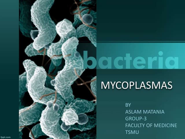 Mycoplasma | PPT