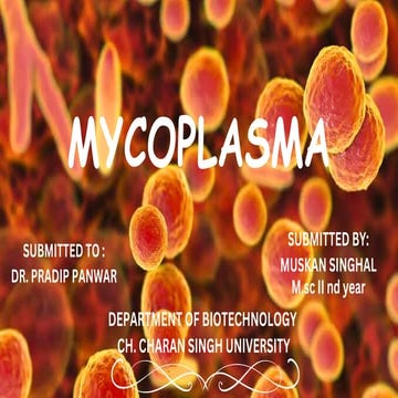 Mycoplasma .pdf