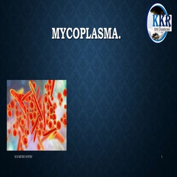 Mycoplasma Mycoplasma pneumoniae K R.pptx