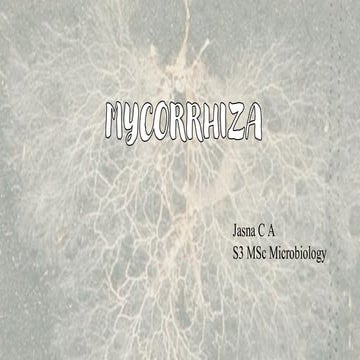 Mycorrhiza | PPTX