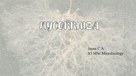 Mycorrhiza and its types | PPTX | Agriculture | Industries