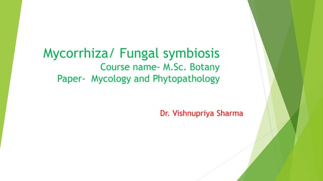 Mycorrhiza | PPTX