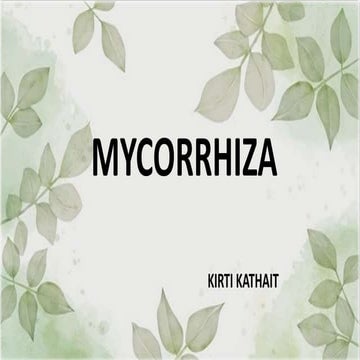 Mycorrhiza | PPTX