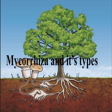 Mycorrhiza | PPTX