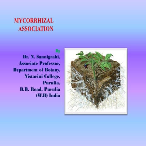 Mycorrhiza | PPTX