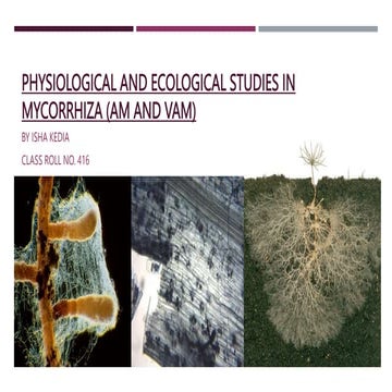 Mycorrhiza Vam and Am type and it's physiological and Ecological ...