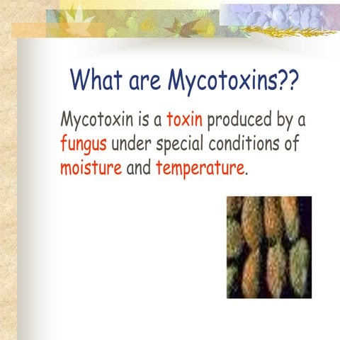 mycotoxin.pptx