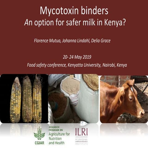 Mycotoxin binders: An option for safer milk in Kenya? | PDF