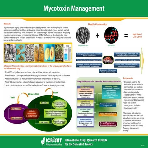 Mycotoxin management | PDF