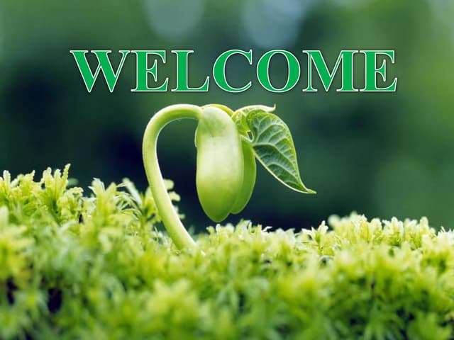 Method of non conventional farming systems | DOCX | Agriculture ...