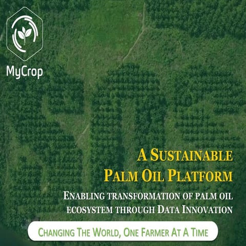 A Sustainable Palm Oil Platform | PPT