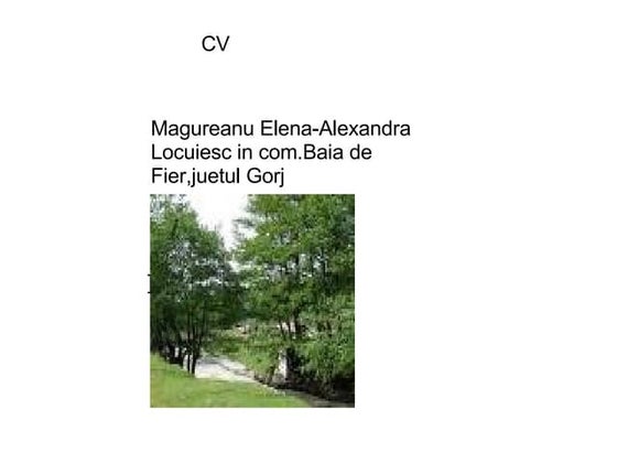 Curriculum Vitae | PPT