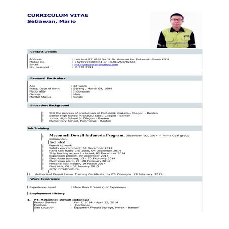 My curriculum vitae | PDF