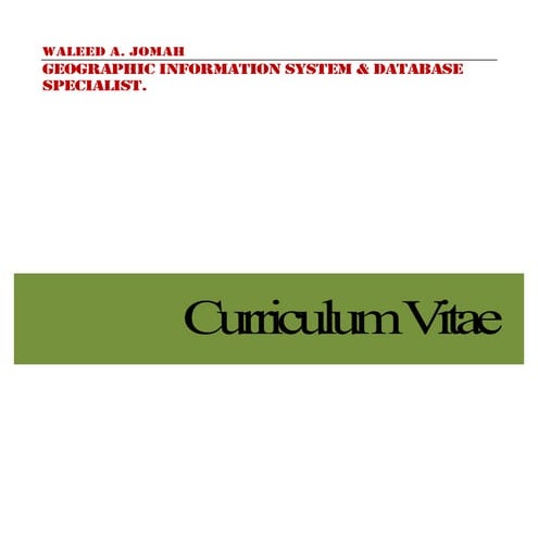 GIS & Database CV | PDF