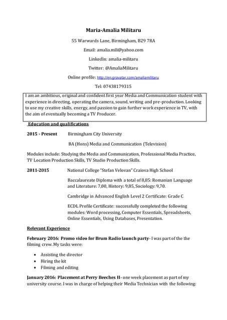 MARLENE BINDER PROFESSIONAL CV | PDF