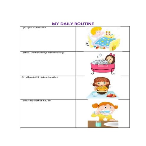 My daily routine | DOCX | Food & Drink