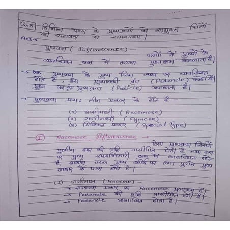 Inflorescence ( पुष्प क्रम) Hindi Medium Notes PDF Download | PDF
