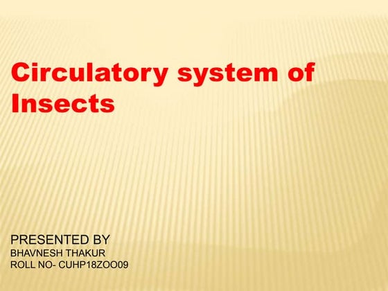 Reproductive System in Insects | PPTX