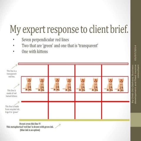 My expert response to a client brief | PPTX
