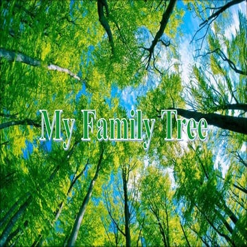 My family tree msm | PPTX