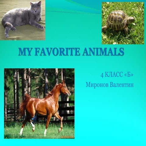 MY FAVOURITE ANIMAL | PPT