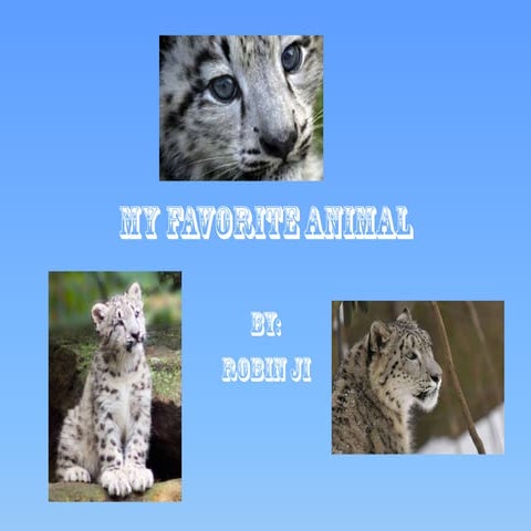 My favorite animal | PPTX