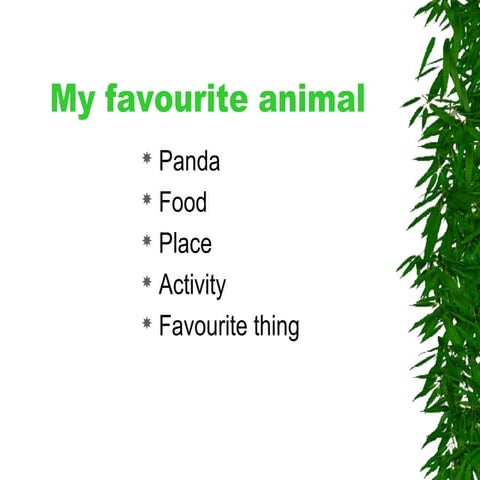 My favourite animal | PPT