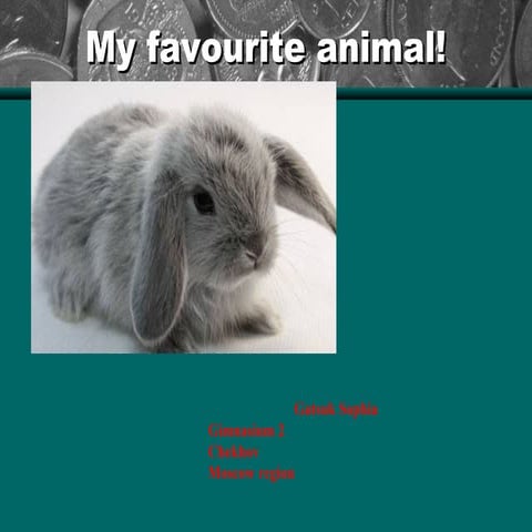 My favorite animal! | PPT
