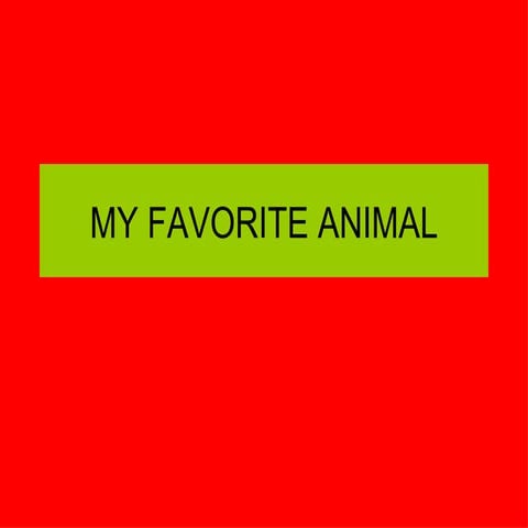 My favorite animal 3 | PPS
