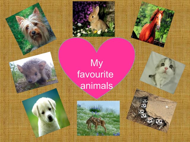 My favorite animal is the dog