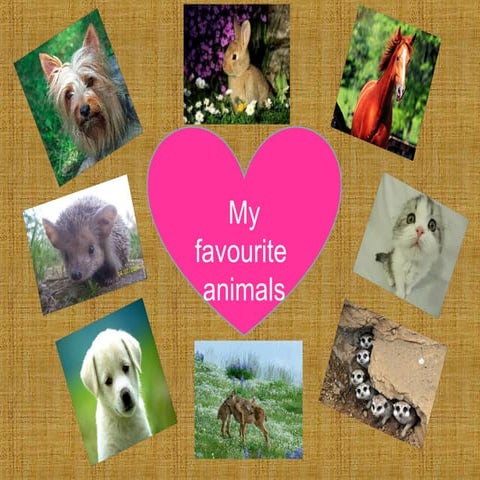 My favorite_animal зайцева маша 4 б | PPT | Cats | Pets