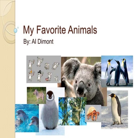 My favorite animals | PPTX | Reptiles | Pets