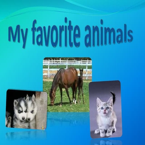 My favorite animals чуленева катя | PPTX