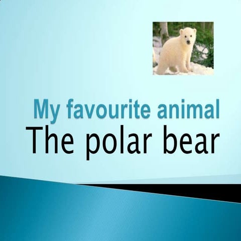 My favourite animal | PPTX