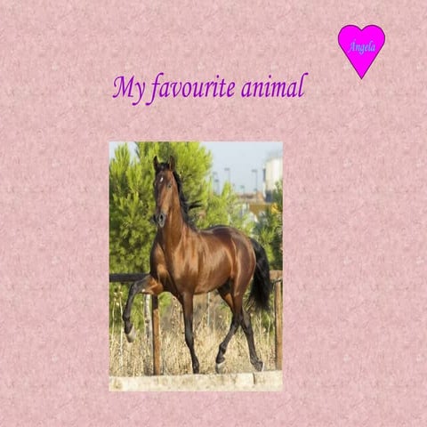 My Favourite Animal Angela 3º | PPT