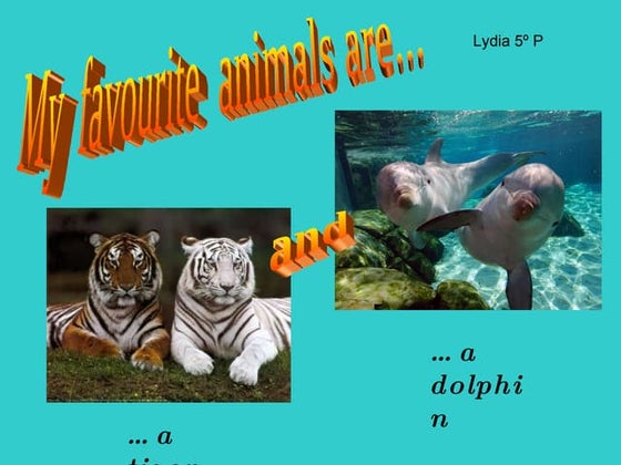 My favourite animal | PPT