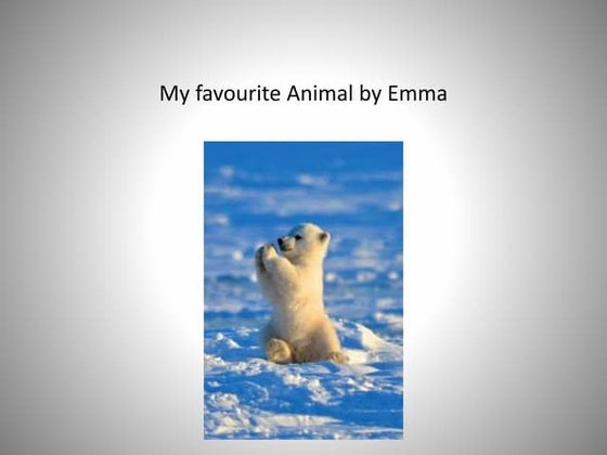 My favourite animal by emily | PPTX