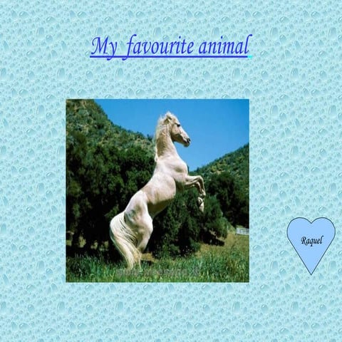 My Favourite Animal Raquel 3º | PPT