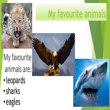 My favourite animals гоша саржевский | PPT