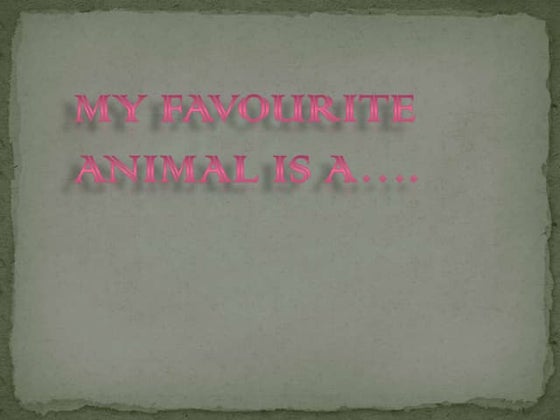 My favourite animal natali | ODP